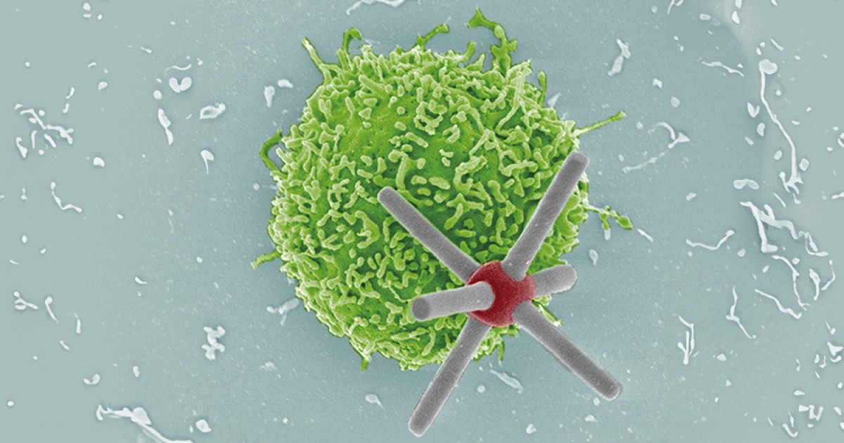 Spinning, magnetic micro-robots help researchers probe immune cell ...