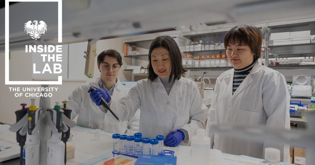 Inside the Lab: How Joyce Chen protects lungs from disease | Pritzker School of Molecular ...