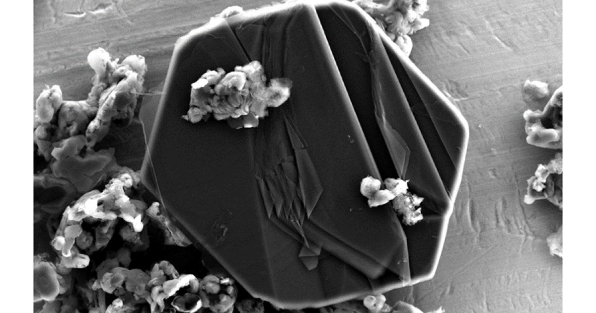 Going green with graphite: Researchers turn plant waste into high-tech ...