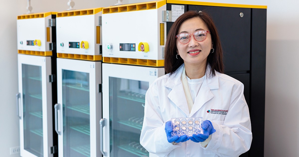 Better texture for better batteries | Pritzker School of Molecular ...